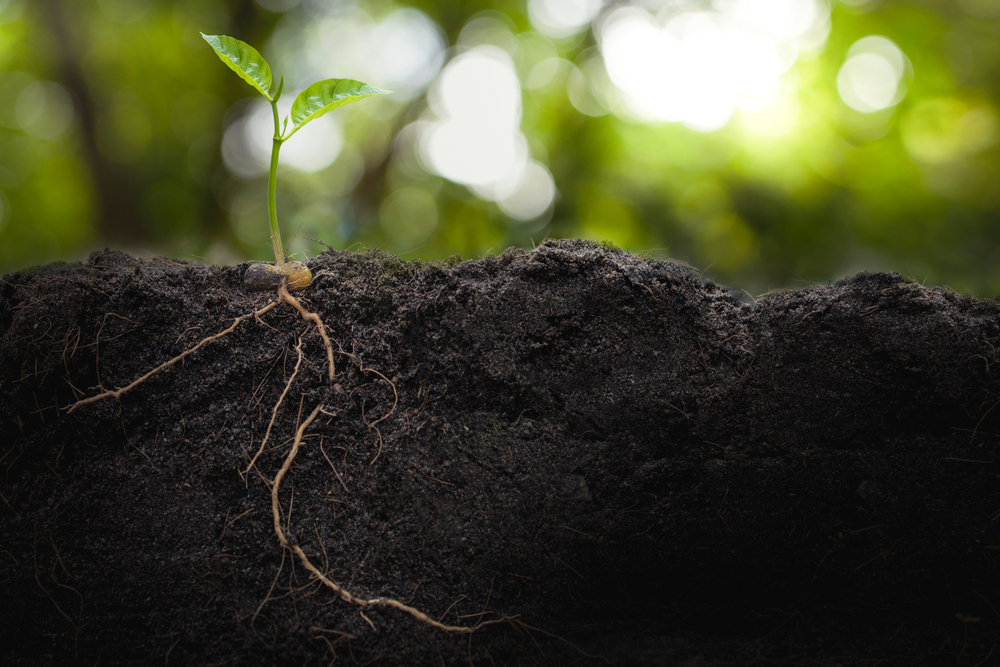 Obilježili smo Svjetski dan tla | Profil Klett