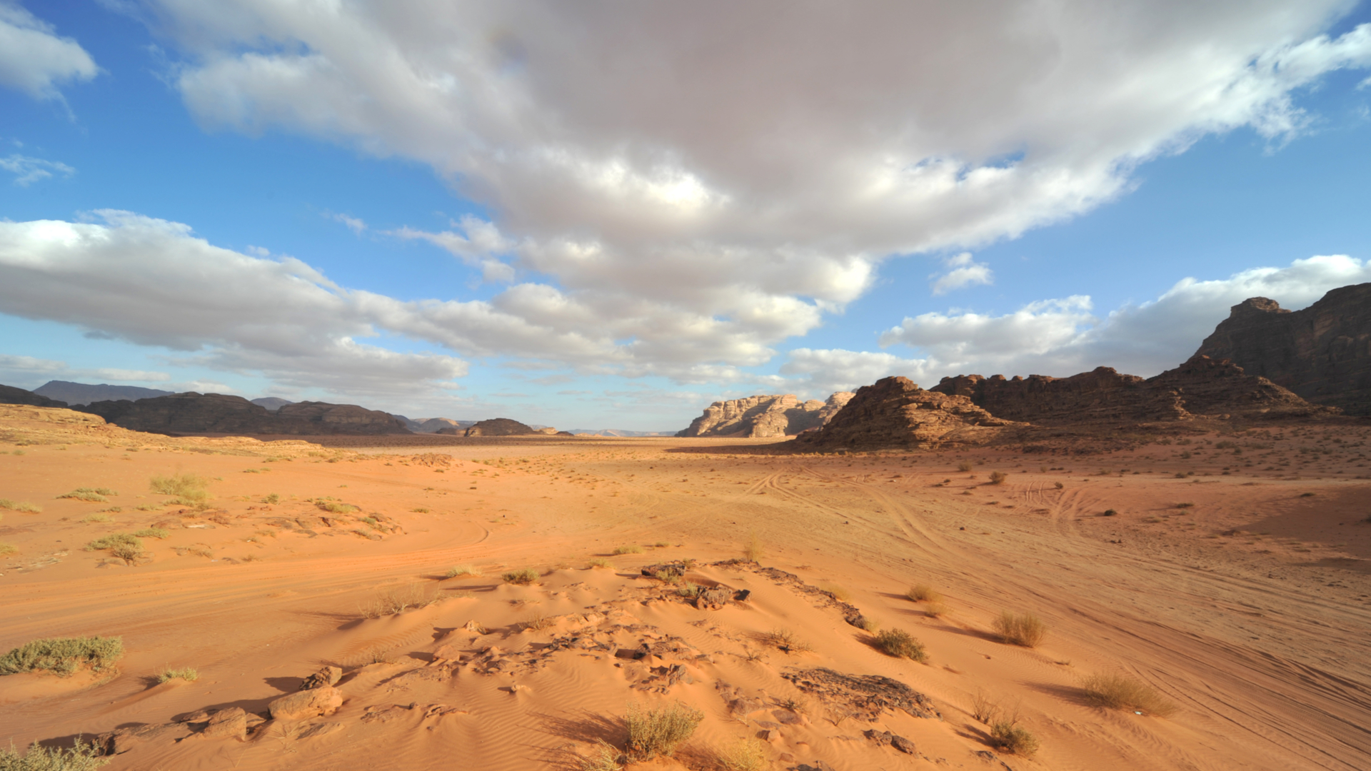 17. 6. 2021. Svjetski dan borbe protiv stvaranja pustinja i suša ...