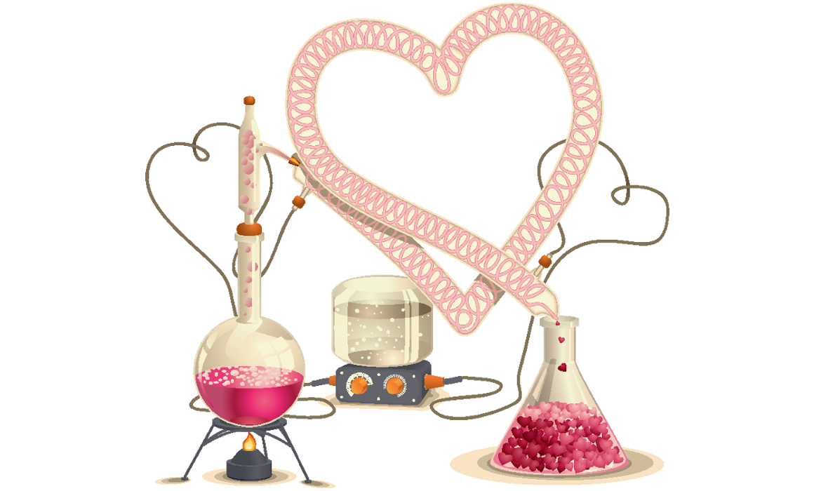 Mala srca i velika ljubav | Profil Klett