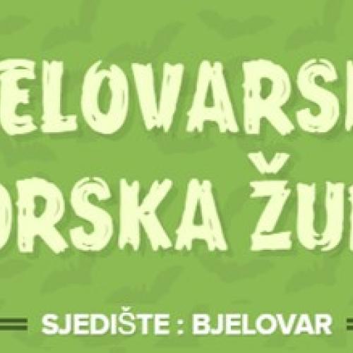 Bjelovarsko-bilogorska županija | Profil Klett Bjelovarsko-bilogorska županija | Profil Klett